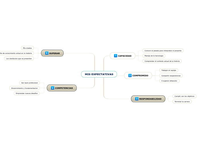 MIS EXPECTATIVAS - Mind Map